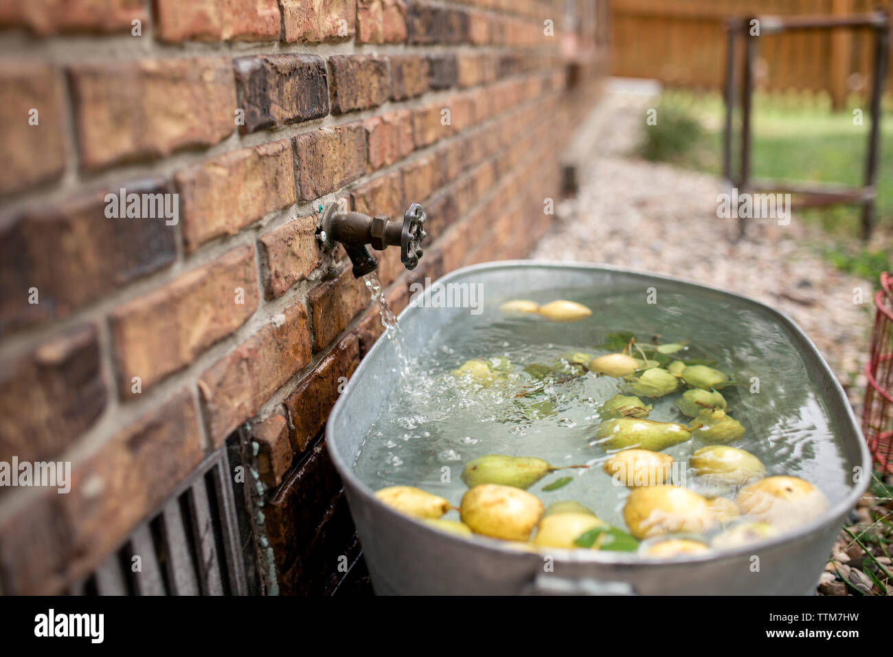 Running the tap High Resolution Stock Photography and Images - Alamy