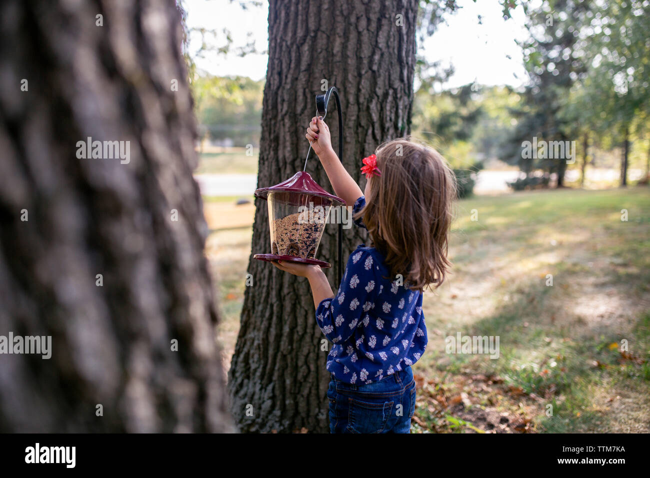 Girl hanging tree hi-res stock photography and images - Alamy