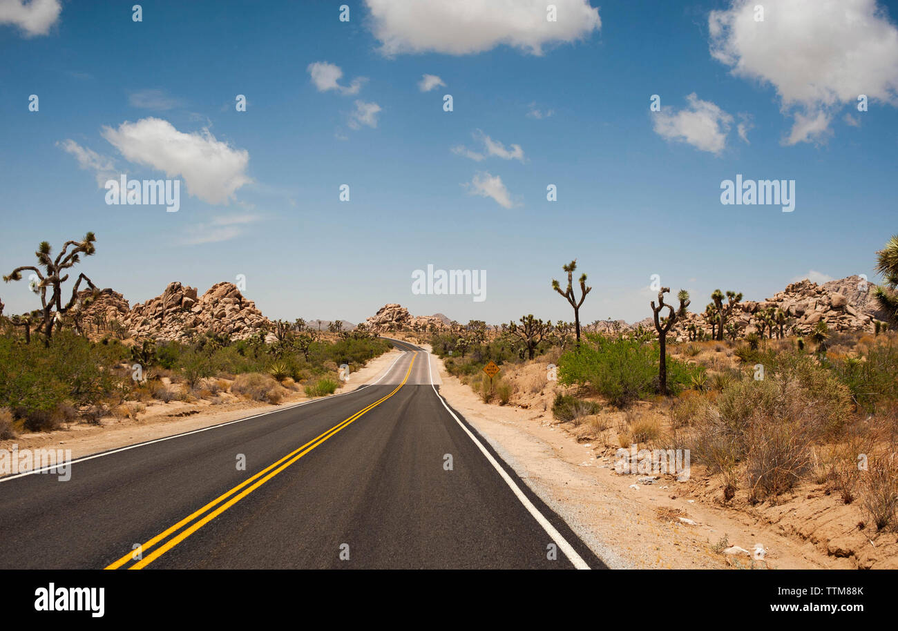Tree line sky hi-res stock photography and images - Alamy