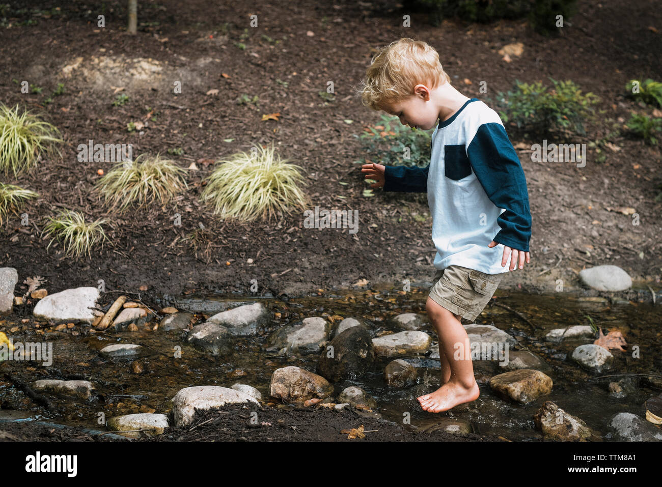 Full length of boy playing in stream Stock Photo - Alamy