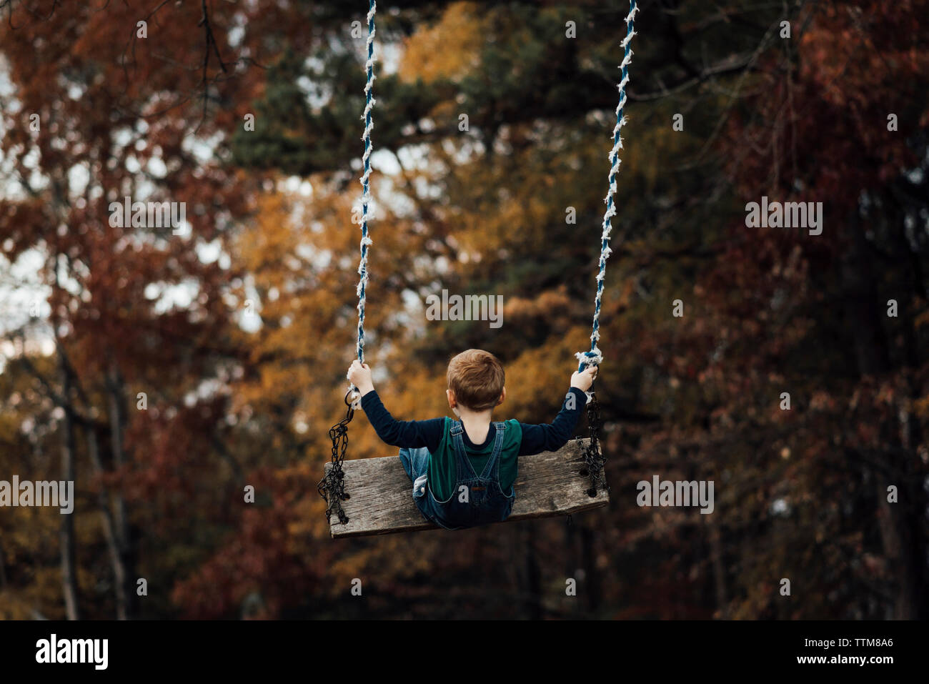 Swinging trees hi-res stock photography and images - Alamy