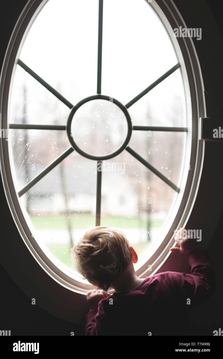 Rear view of baby boy looking through window at home Stock Photo - Alamy