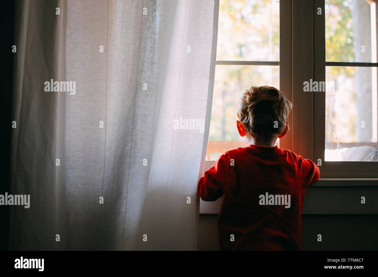 Rear view of baby boy looking through window at home Stock Photo - Alamy