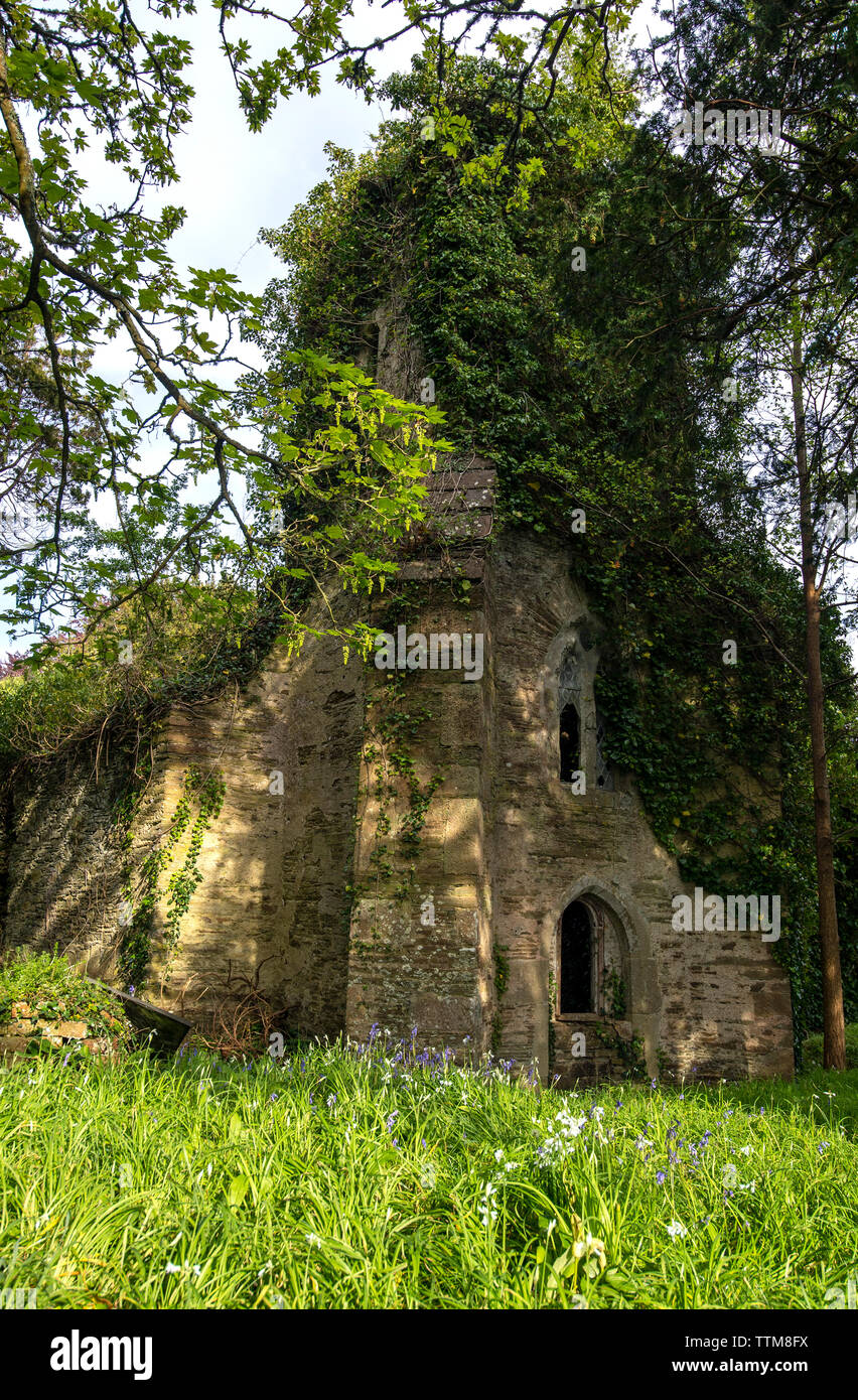 St Cohan Church in Merther, Cornwall, long abandoned and being ...