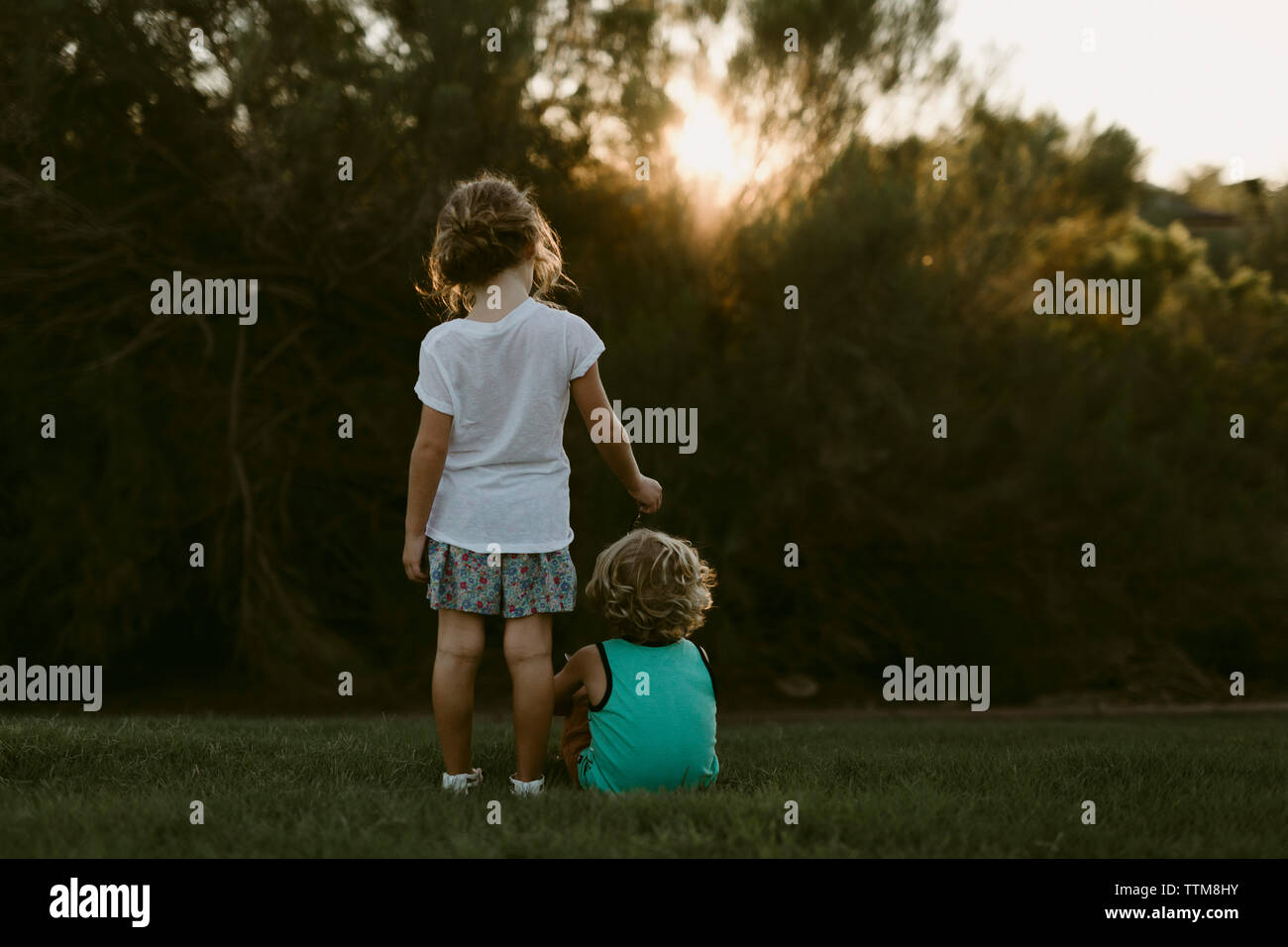 Rear view of siblings relaxing in backyard during sunset Stock Photo ...