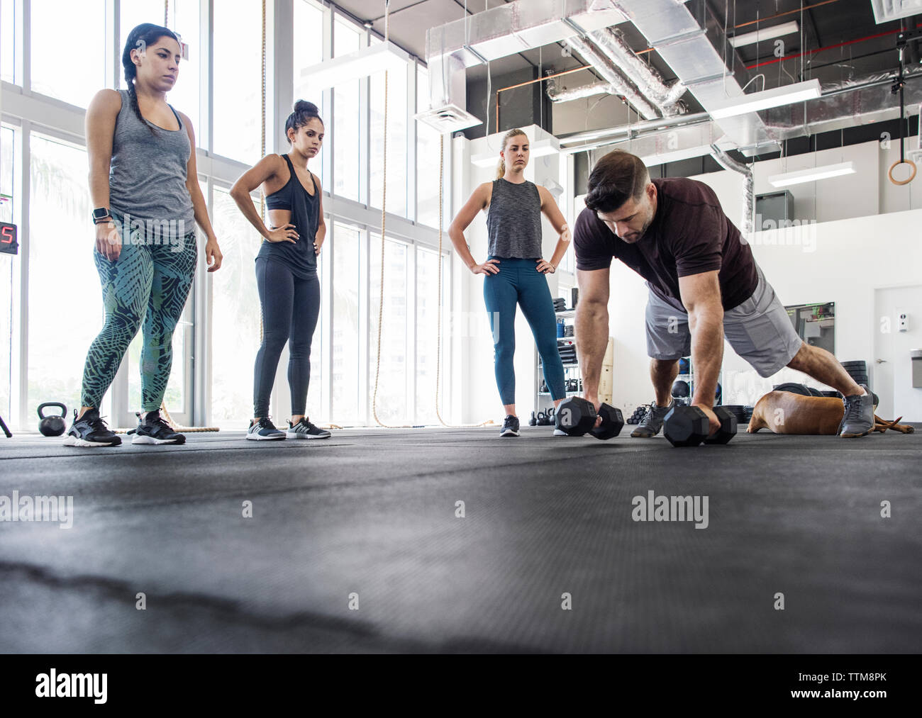 Instructor explaining athletes by doing push-ups using dumbbells in ...