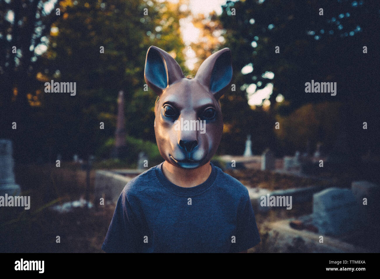 Animal cemetery hi-res stock photography and images - Alamy