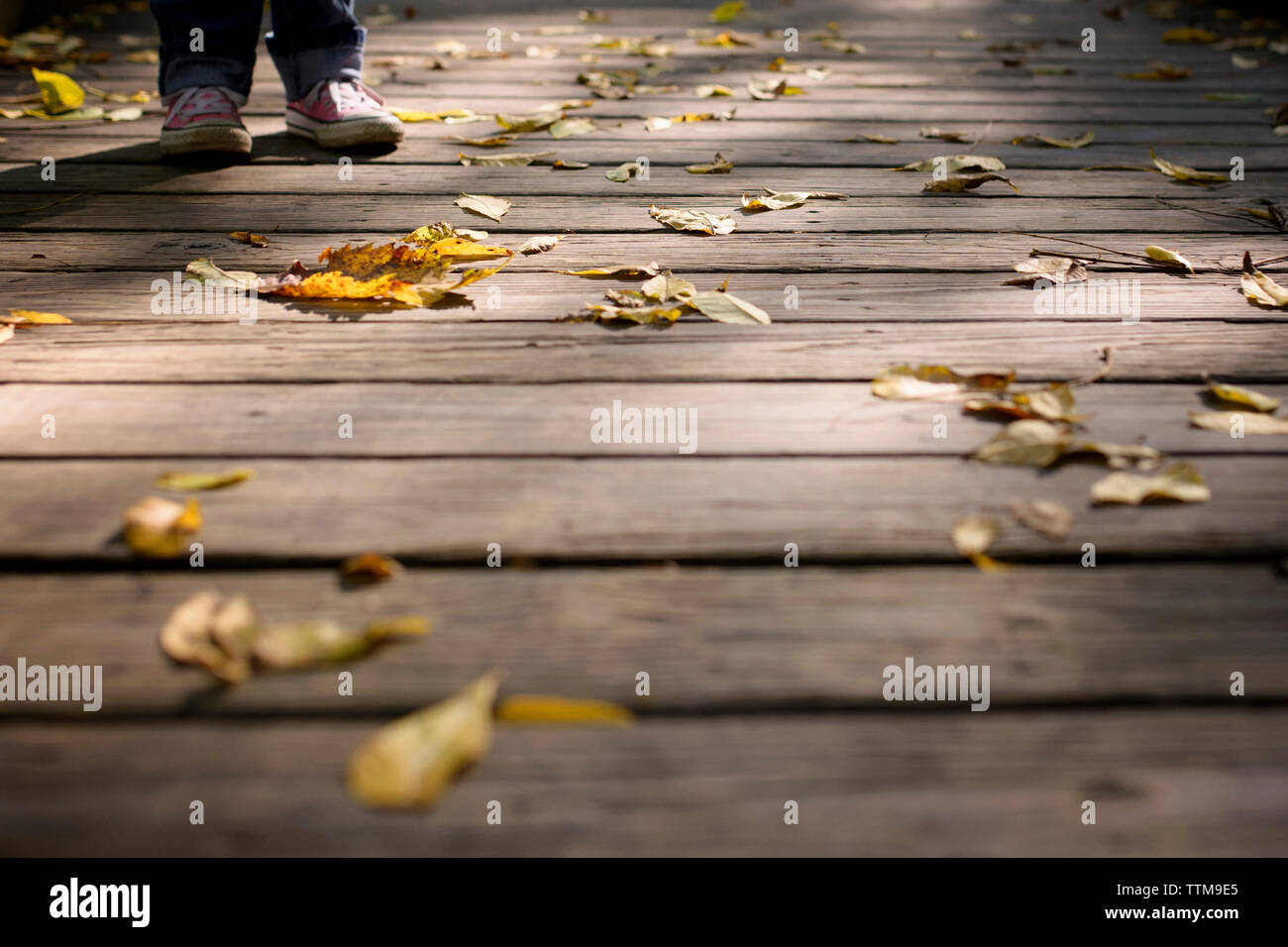 Boy standing at pier hi-res stock photography and images - Alamy