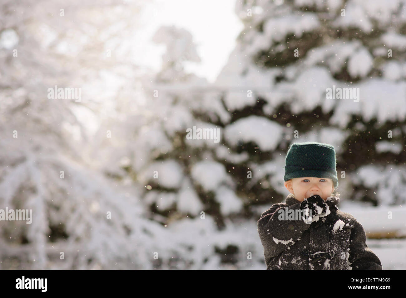 Clothing in trees hi-res stock photography and images - Alamy