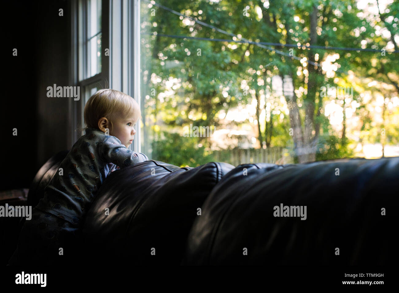 Thoughtful boy looking through window while kneeling on sofa Stock ...