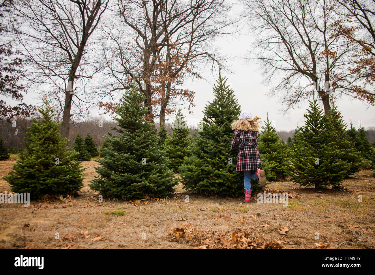 Girl pine hi-res stock photography and images - Alamy