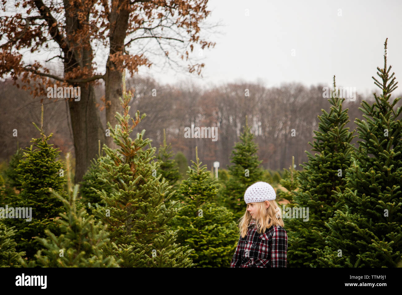 Side view of cute girl looking at pine trees while standing in farm ...
