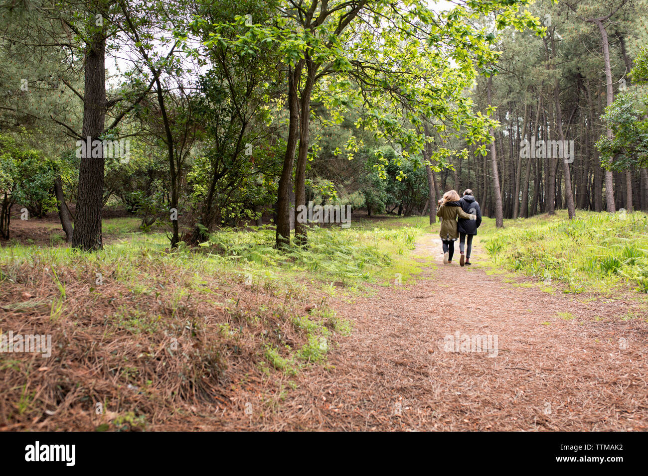Couple walking forest hi-res stock photography and images - Alamy