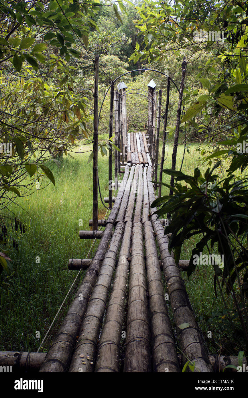 Bamboo footbridge hi-res stock photography and images - Alamy