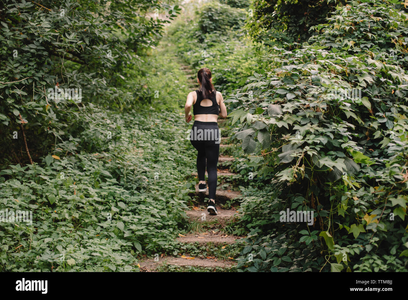 Stairs woman rear view hi-res stock photography and images - Alamy