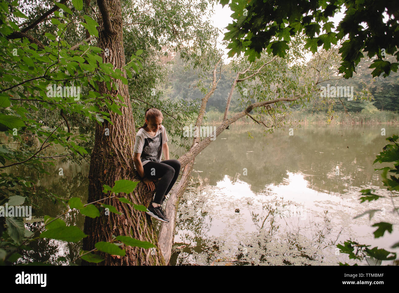 Young woman sitting on tree over lake in forest Stock Photo - Alamy