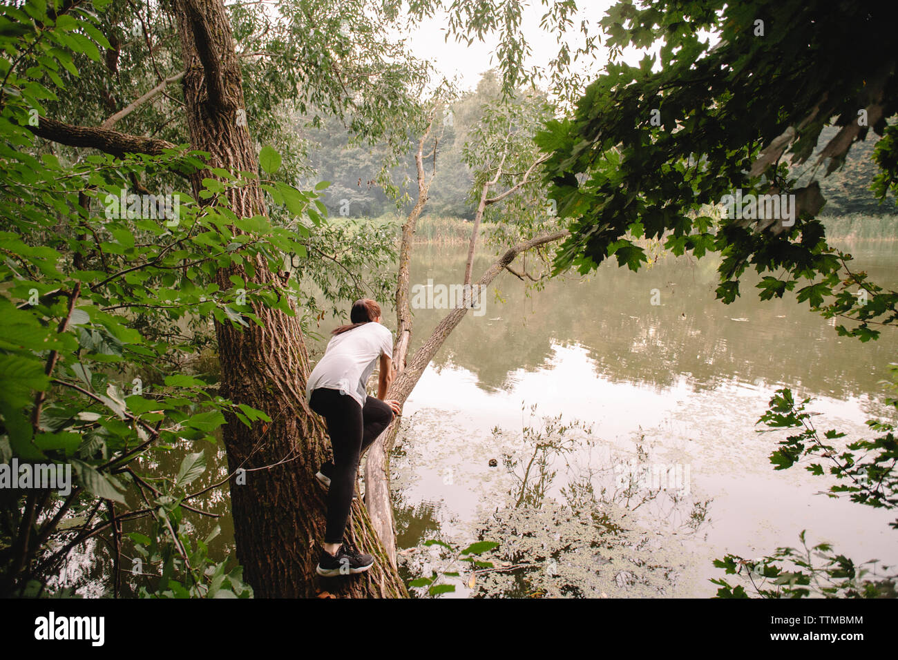 Woman climbing tree hi-res stock photography and images - Alamy