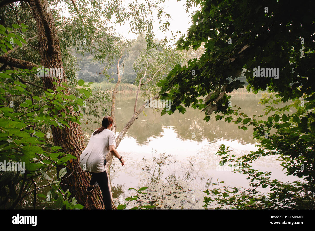 Woman climbing tree hi-res stock photography and images - Alamy