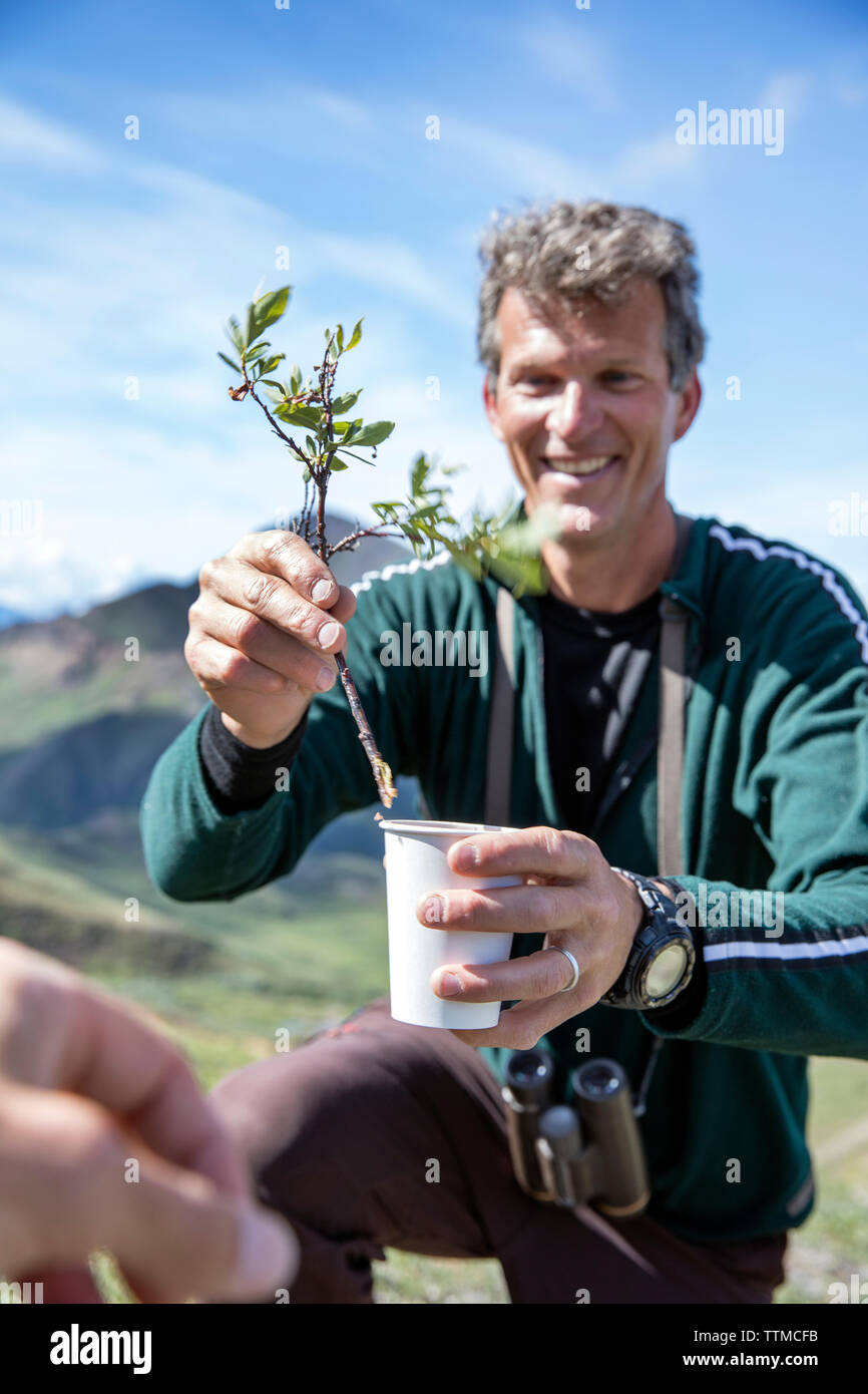 USA, Alaska, Denali, Denali National Park, hiking guide and local ...