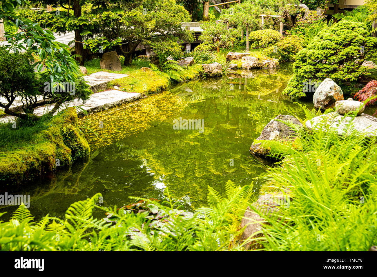 Japanese house garden pond in hi-res stock photography and images - Alamy