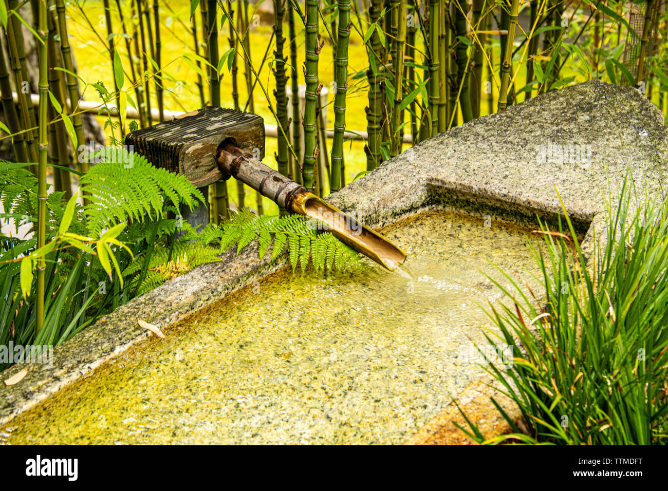 Bamboo water pipe hi-res stock photography and images - Alamy