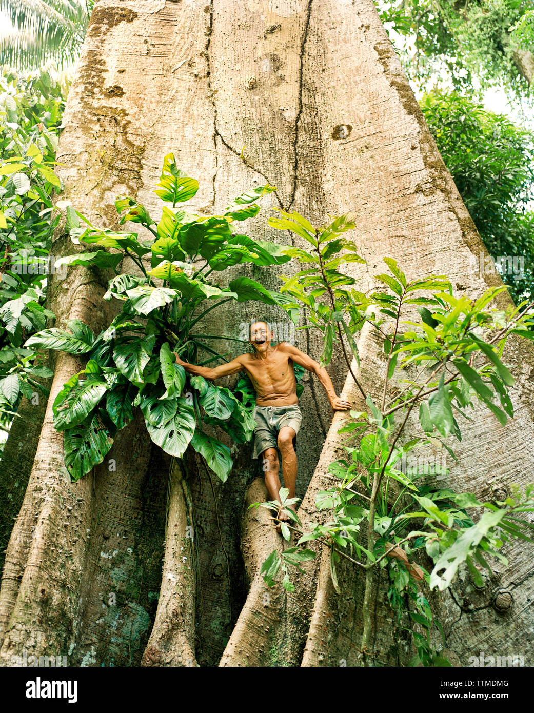 Rainforest Tribe Brazil Stock Photos & Rainforest Tribe Brazil Stock ...