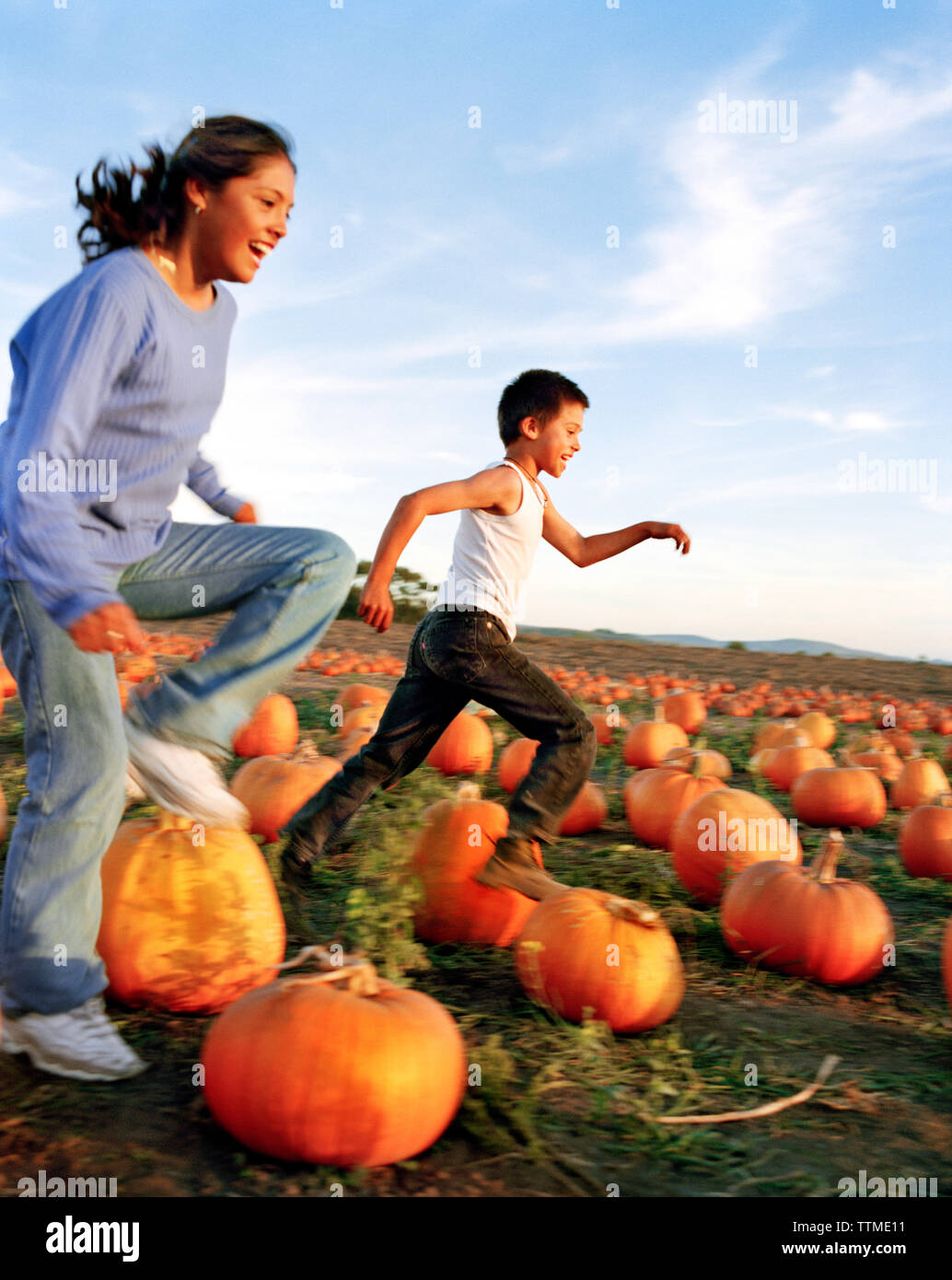 Children running in pumpkin field hi-res stock photography and images ...