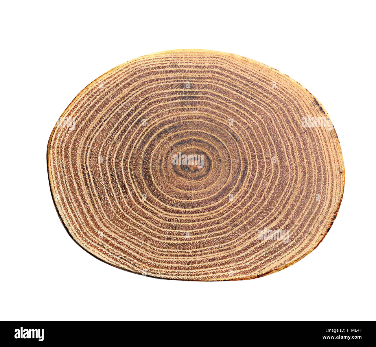 Bark cross section pine Cut Out Stock Images & Pictures - Alamy