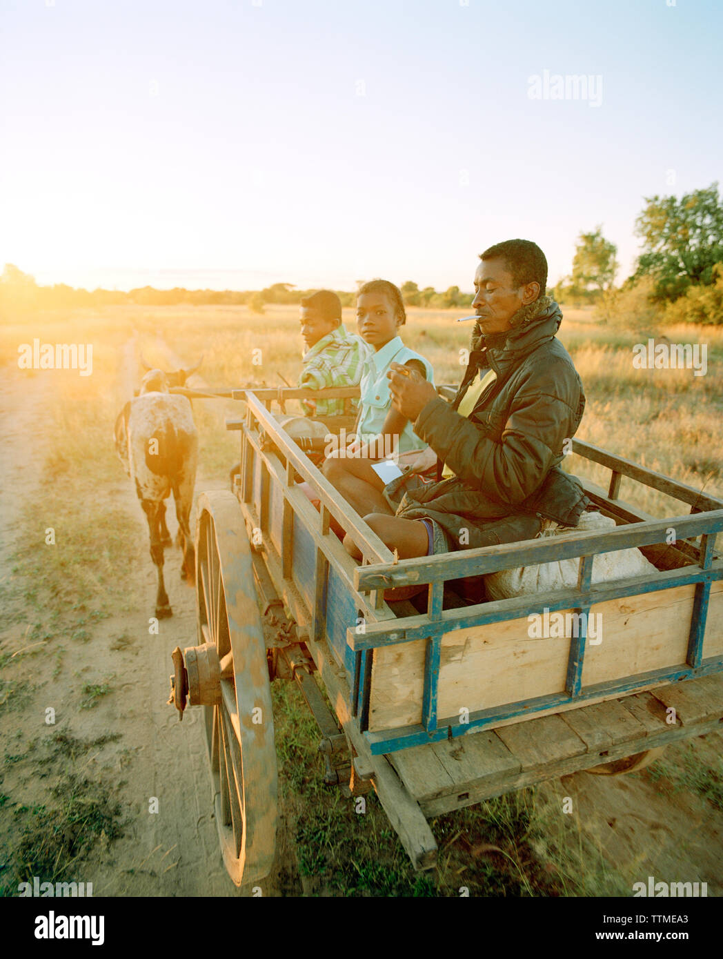 Mahafaly plateau hi-res stock photography and images - Alamy