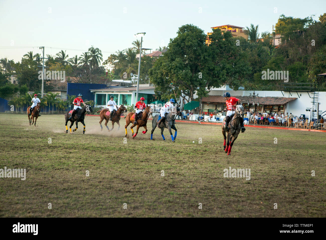 MEXICO, San Pancho, San Francisco, La Patrona Polo Club, Action shots ...