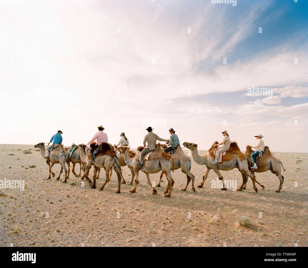 MONGOLIA, Nemegt Basin, a group of riders trek through the Gobi Desert ...