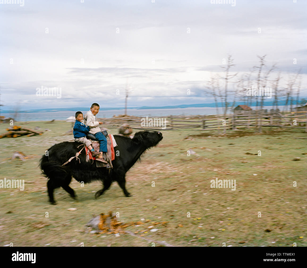 MONGOLIA, Batkhuu's home near Khuvsgul Lake, portrait of two boys ...