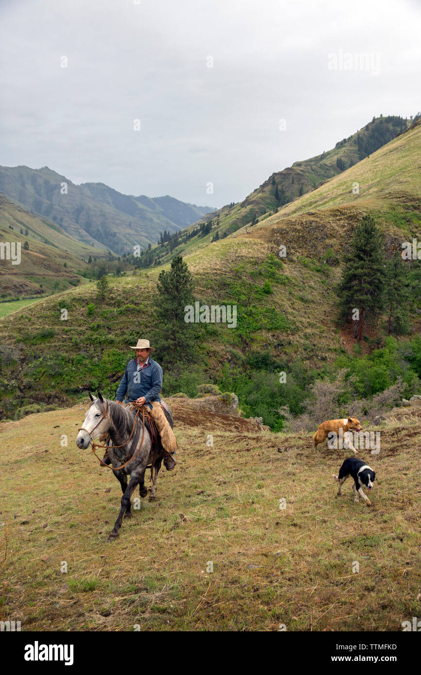 Three Cowboys On Horseback High Resolution Stock Photography and Images ...