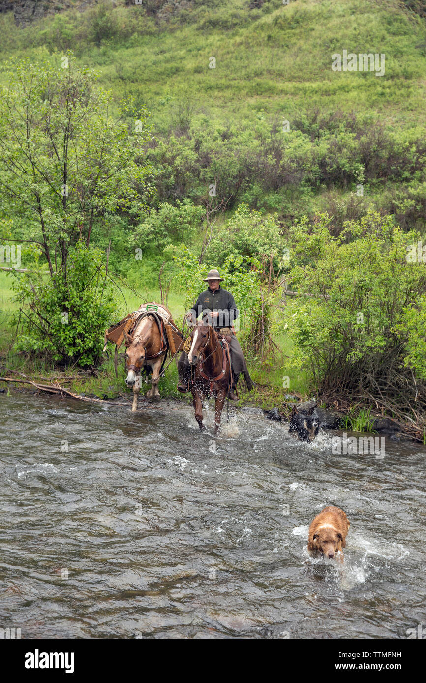 Dog cowboy horse ride hi-res stock photography and images - Alamy