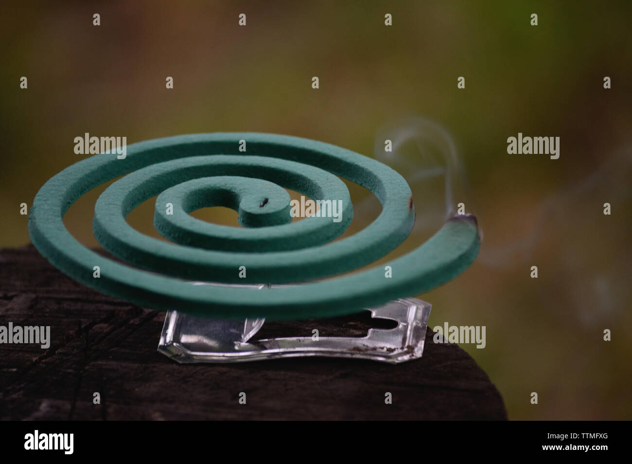 Burning mosquito coil spiral repellent Stock Photo - Alamy