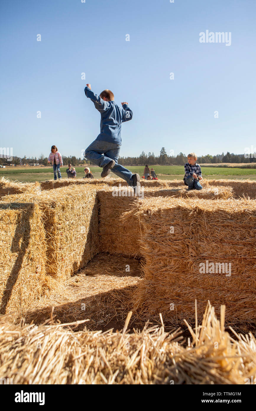 Corn mazes hi-res stock photography and images - Alamy