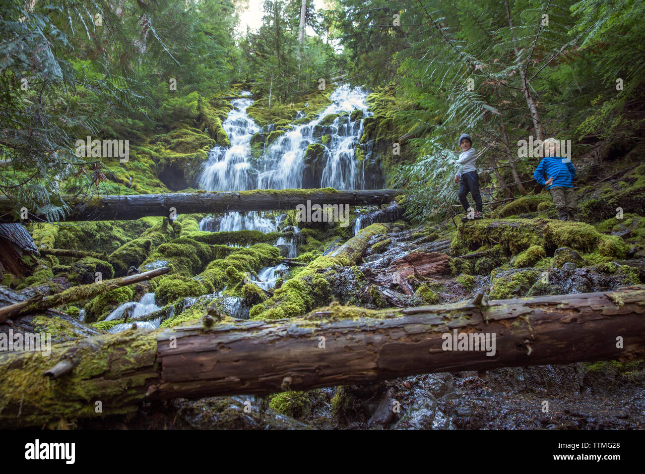 USA, Oregon, Oregon Cascades, young boys hike and check out the upper Proxy Falls in the ...