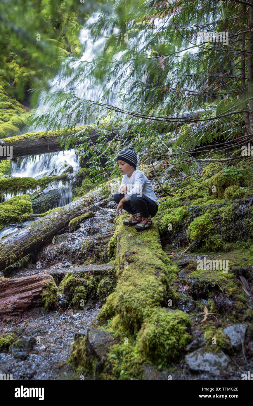 USA, Oregon, Oregon Cascades, a young boy hikes and checks out the ...