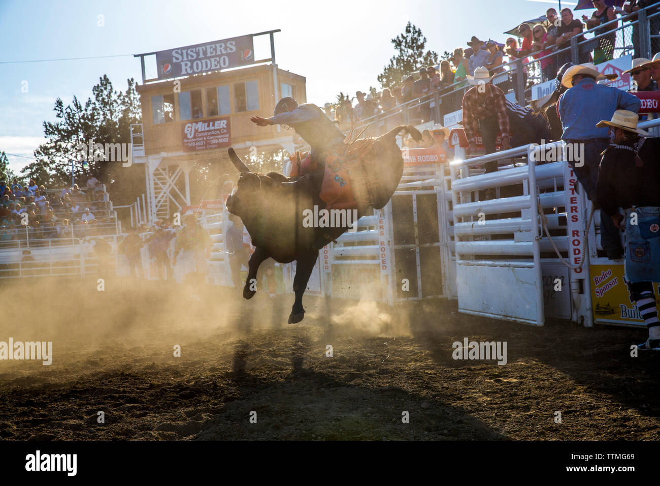 USA, Oregon, Sisters, Sisters Rodeo, cowboys ride a 2,000 pound bull ...