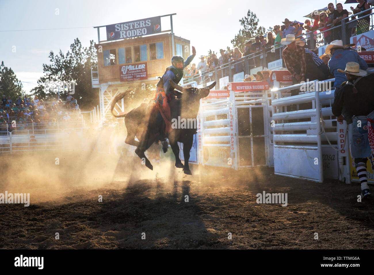USA, Oregon, Sisters, Sisters Rodeo, cowboys ride a 2,000 pound bull ...