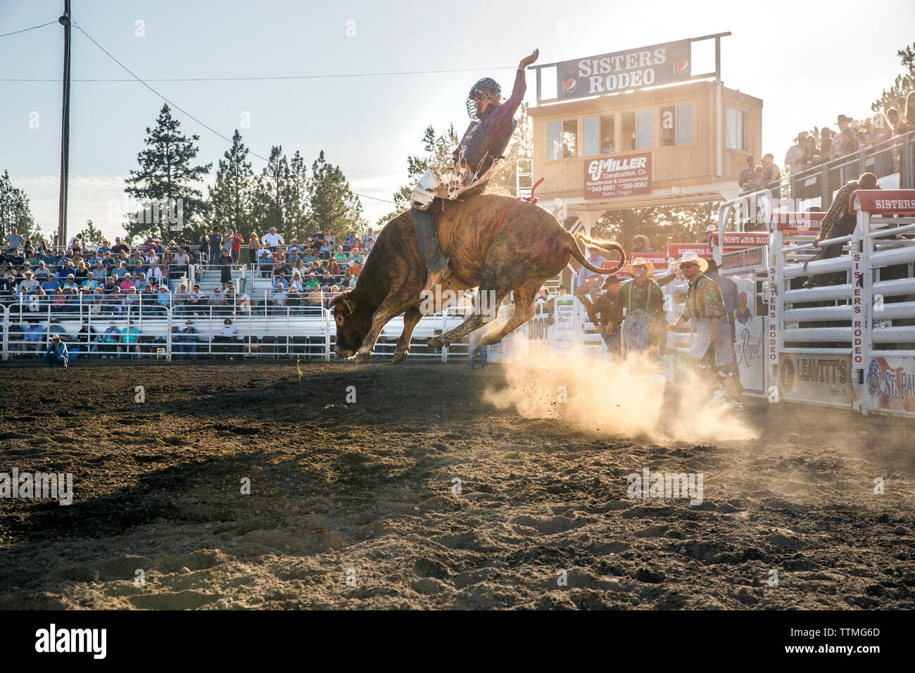 USA, Oregon, Sisters, Sisters Rodeo, cowboys ride a 2,000 pound bull ...