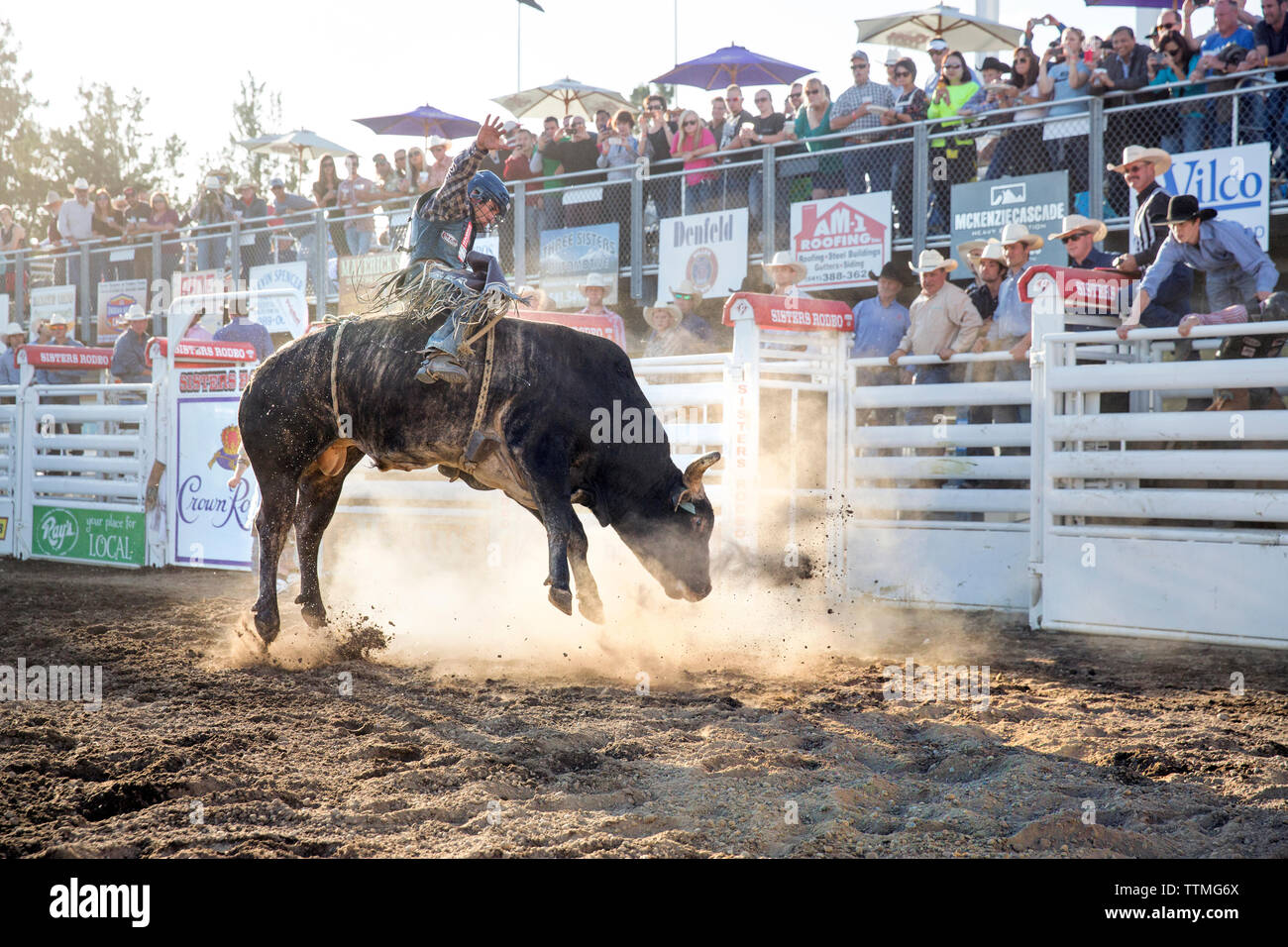 USA, Oregon, Sisters, Sisters Rodeo, cowboys ride a 2,000 pound bull ...