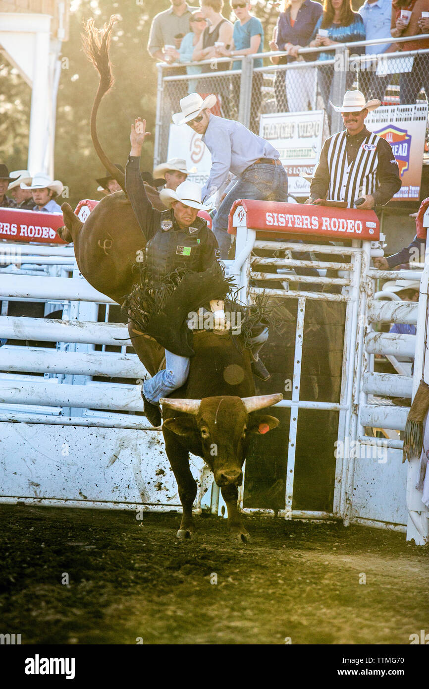 USA, Oregon, Sisters, Sisters Rodeo, cowboys ride a 2,000 pound bull ...