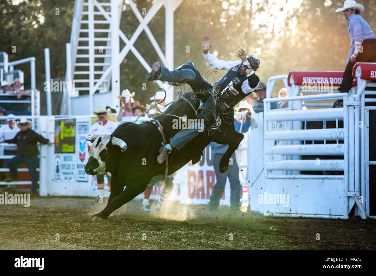 USA, Oregon, Sisters, Sisters Rodeo, cowboys ride a 2,000 pound bull ...