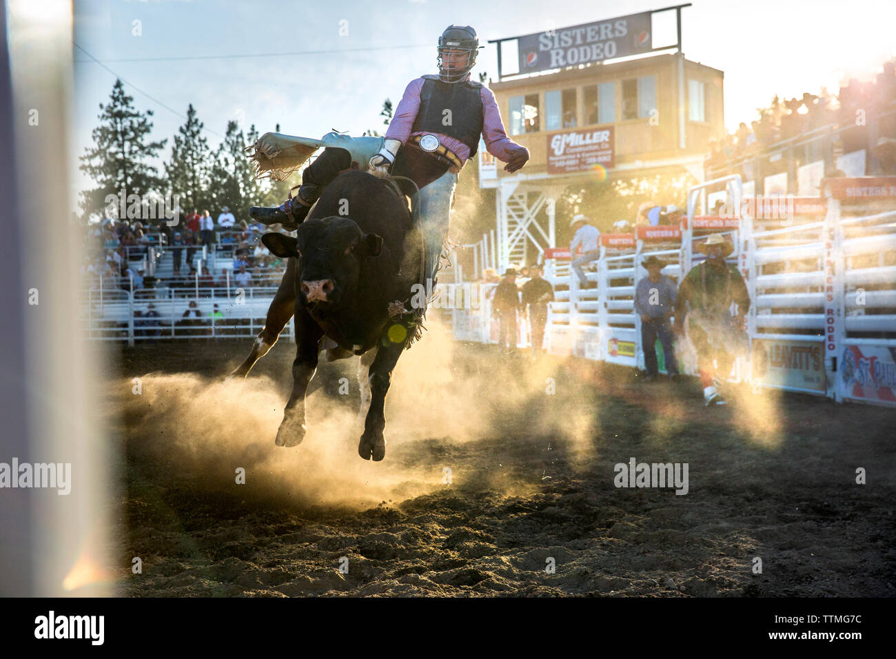 USA, Oregon, Sisters, Sisters Rodeo, cowboys ride a 2,000 pound bull ...