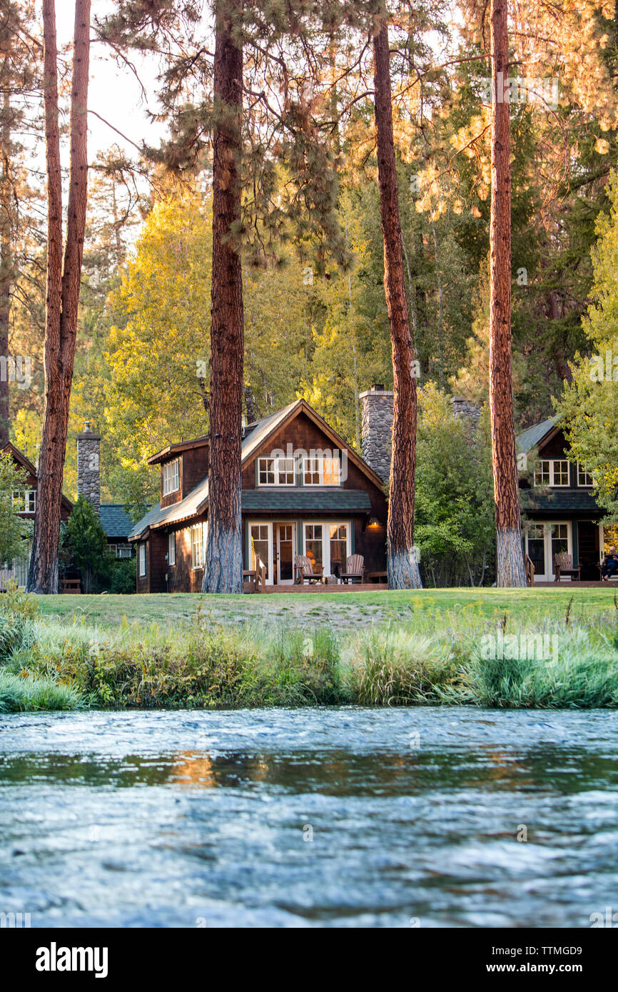 USA, Oregon, Camp Sherman, Metolius River Resort, View of cabins from ...