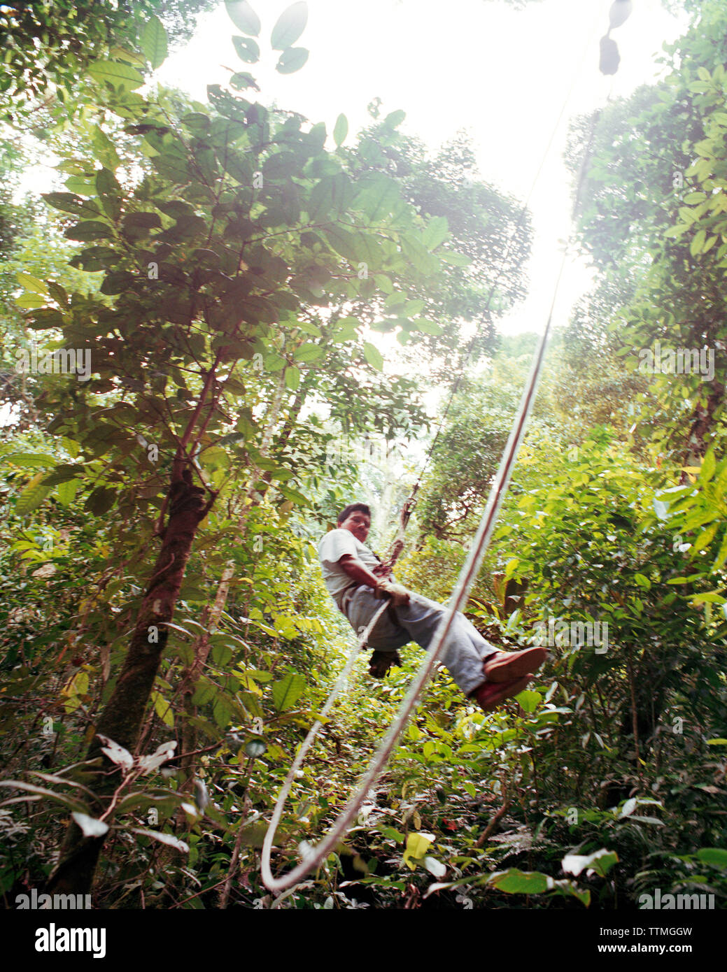 PANAMA, El Valle, Canopy zip line adventure in the treetops of the ...
