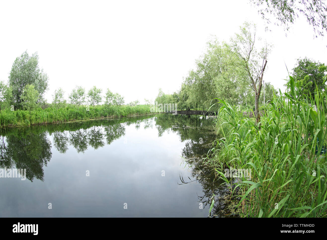 River landscape, closeup Stock Photo - Alamy