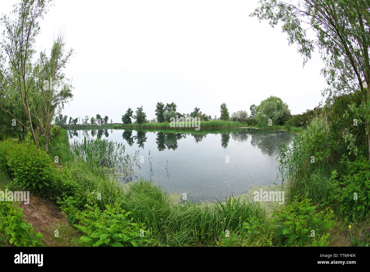 River landscape, closeup Stock Photo - Alamy
