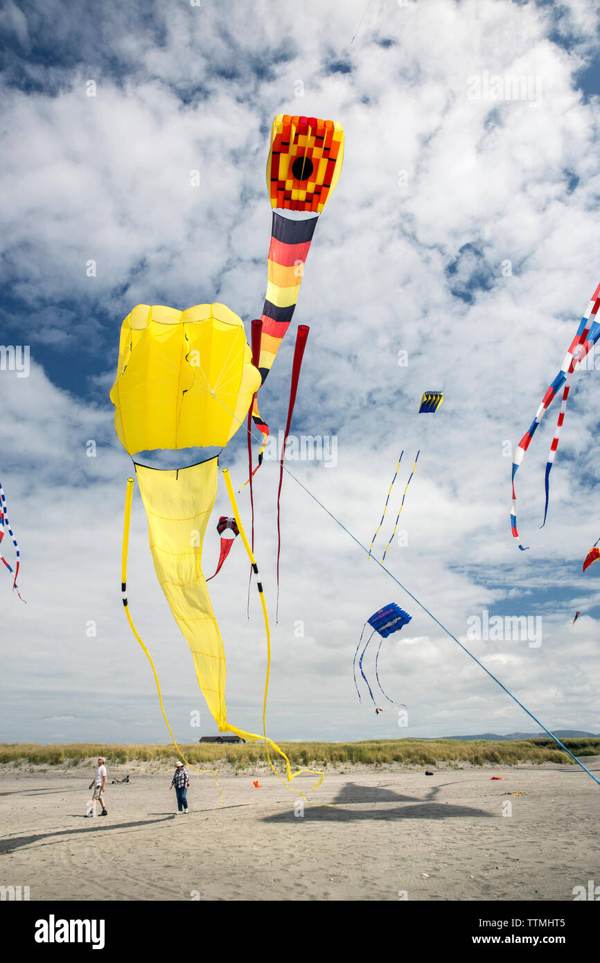 Large kites hi-res stock photography and images - Alamy